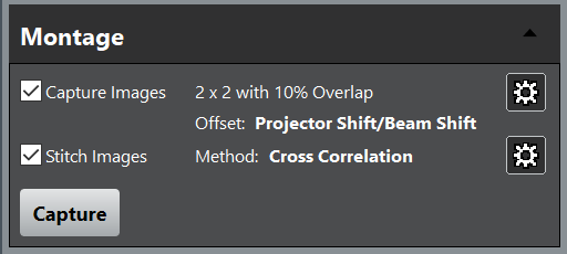 DigitalMontage Software | Gatan, Inc.